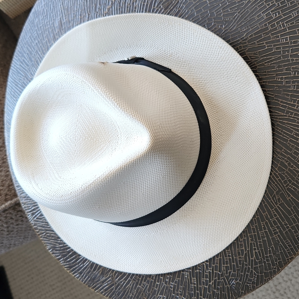 Hats In The Belfry Straw Fedora - Gem